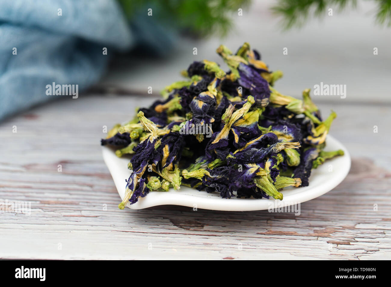 Butterfly bean flower tea blue butterfly flower Stock Photo - Alamy