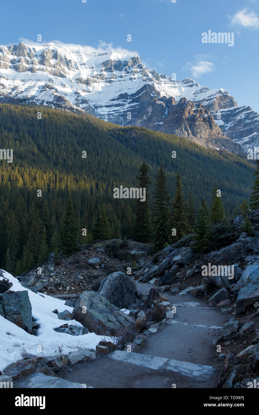 Steps leading to forest and snowy mountains Stock Photo - Alamy