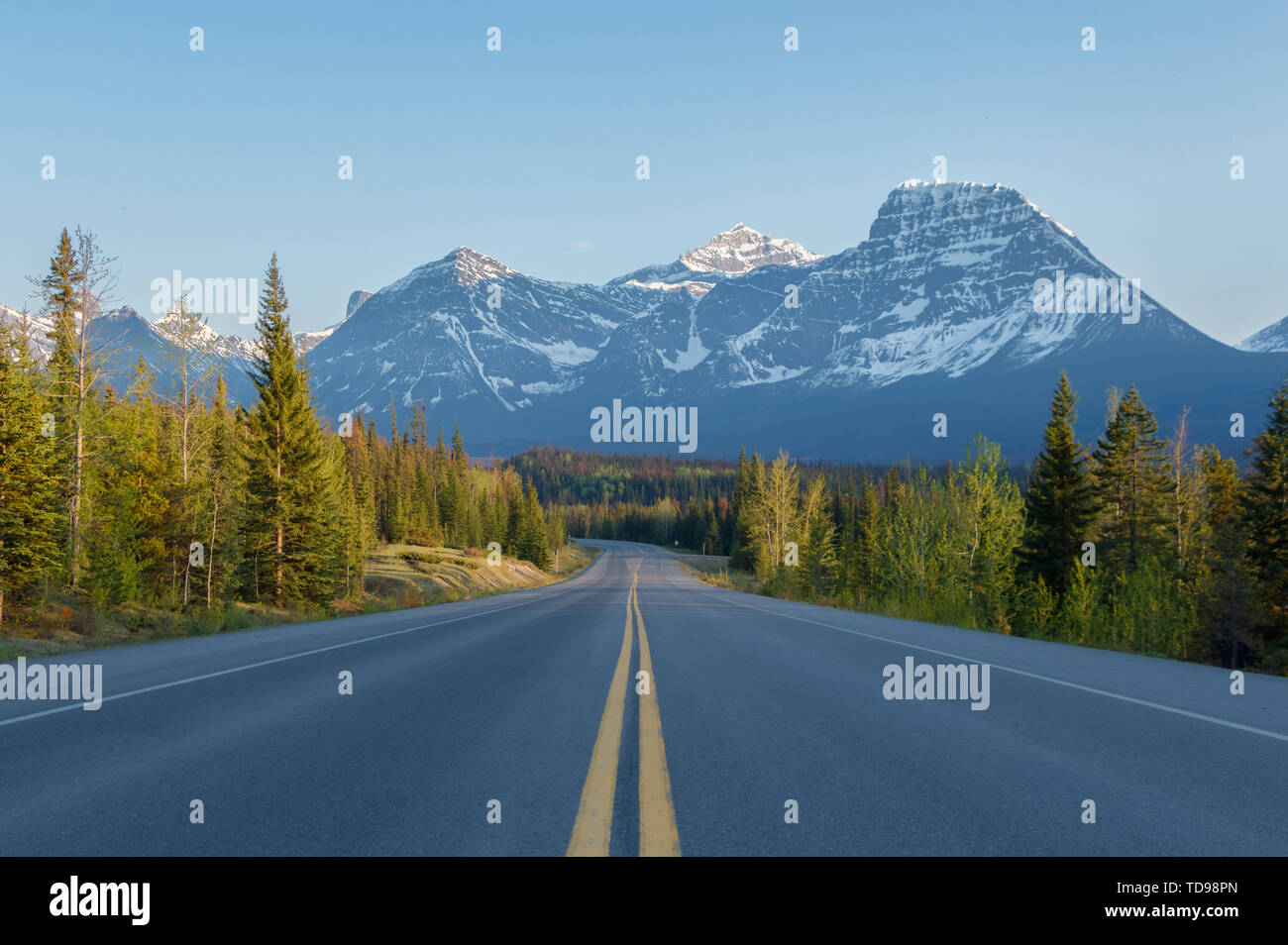 Evening road lined with trees leading to mountain range Stock Photo - Alamy