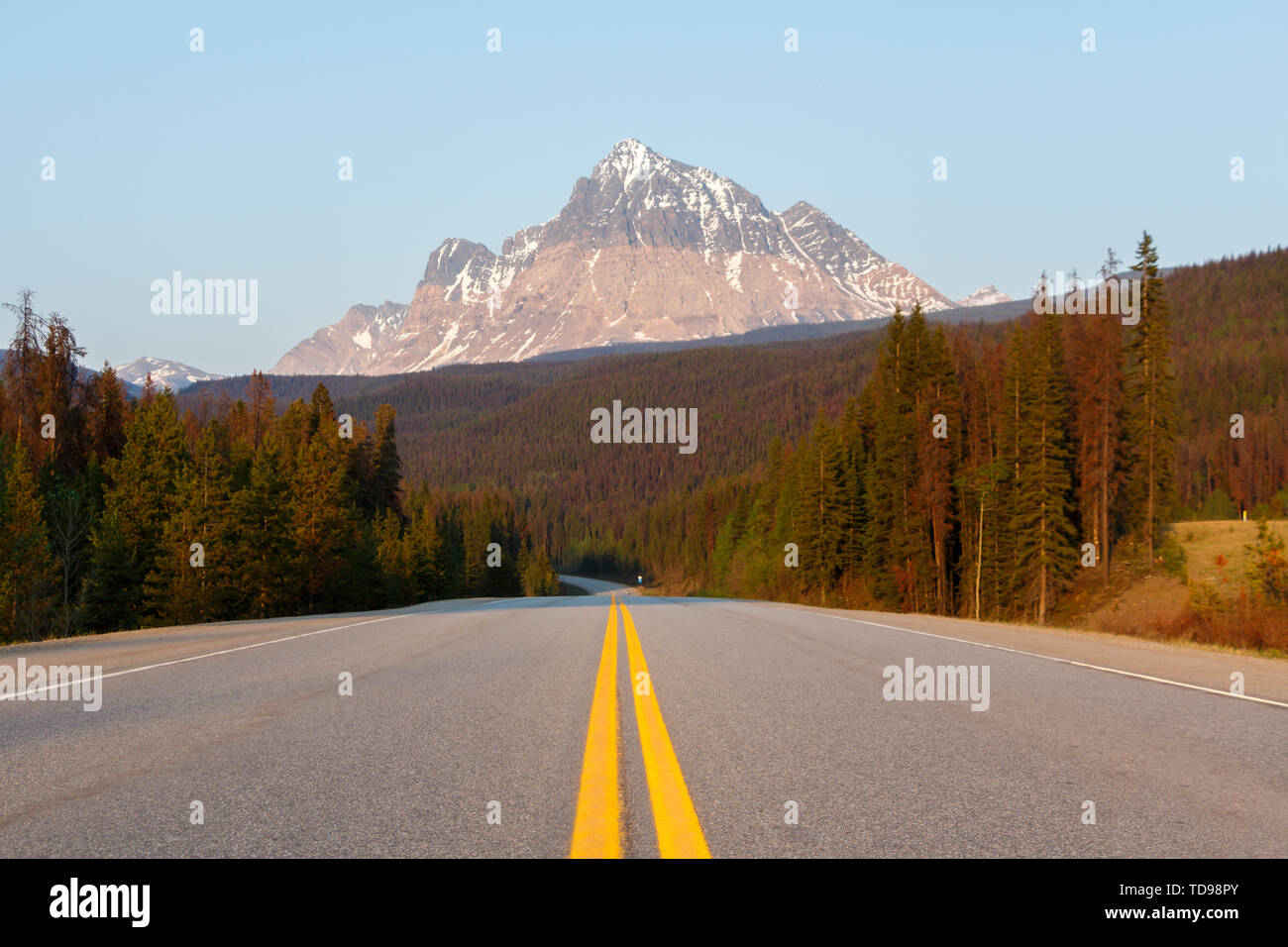 Evening road hi-res stock photography and images - Alamy