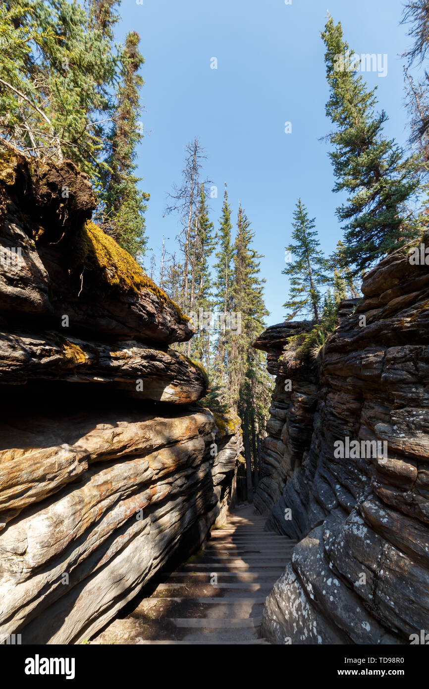 Steps leading down between rocks into narrow gorge Stock Photo - Alamy