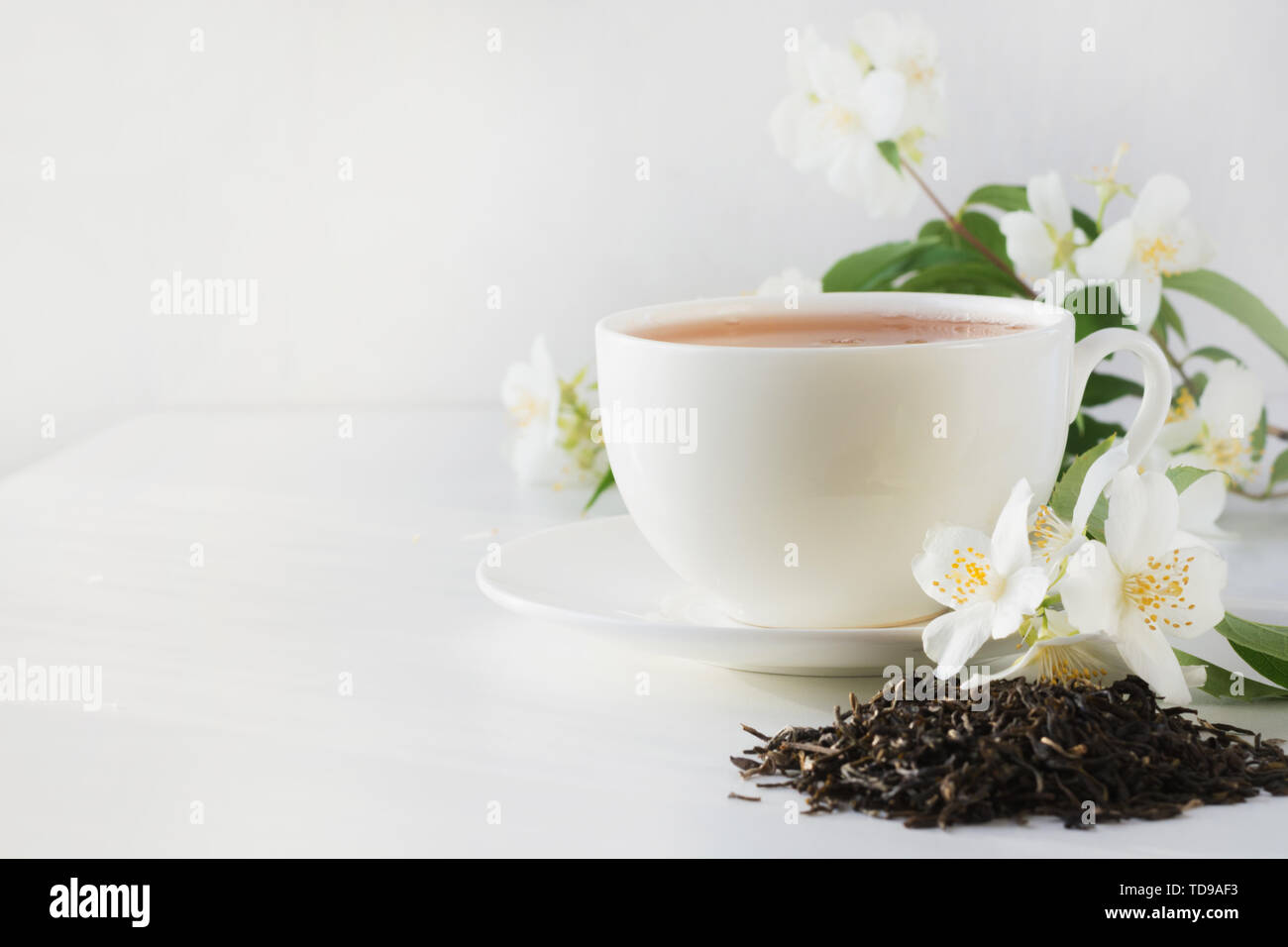Cup of green jasmin tea white jasmine flowers on white background. Copy ...