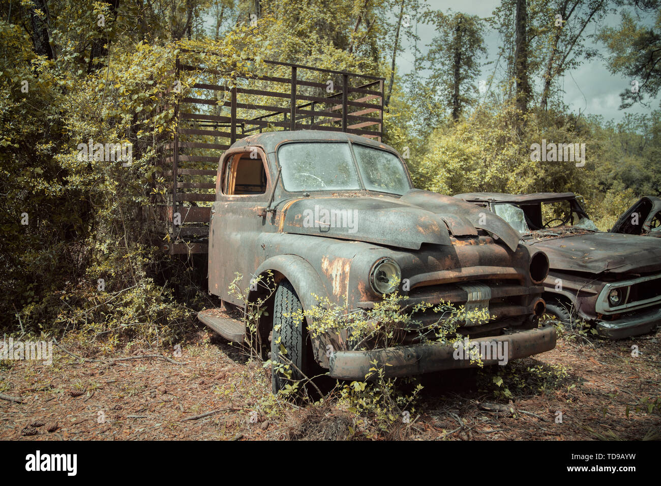 Rusty old trucks hi-res stock photography and images - Alamy