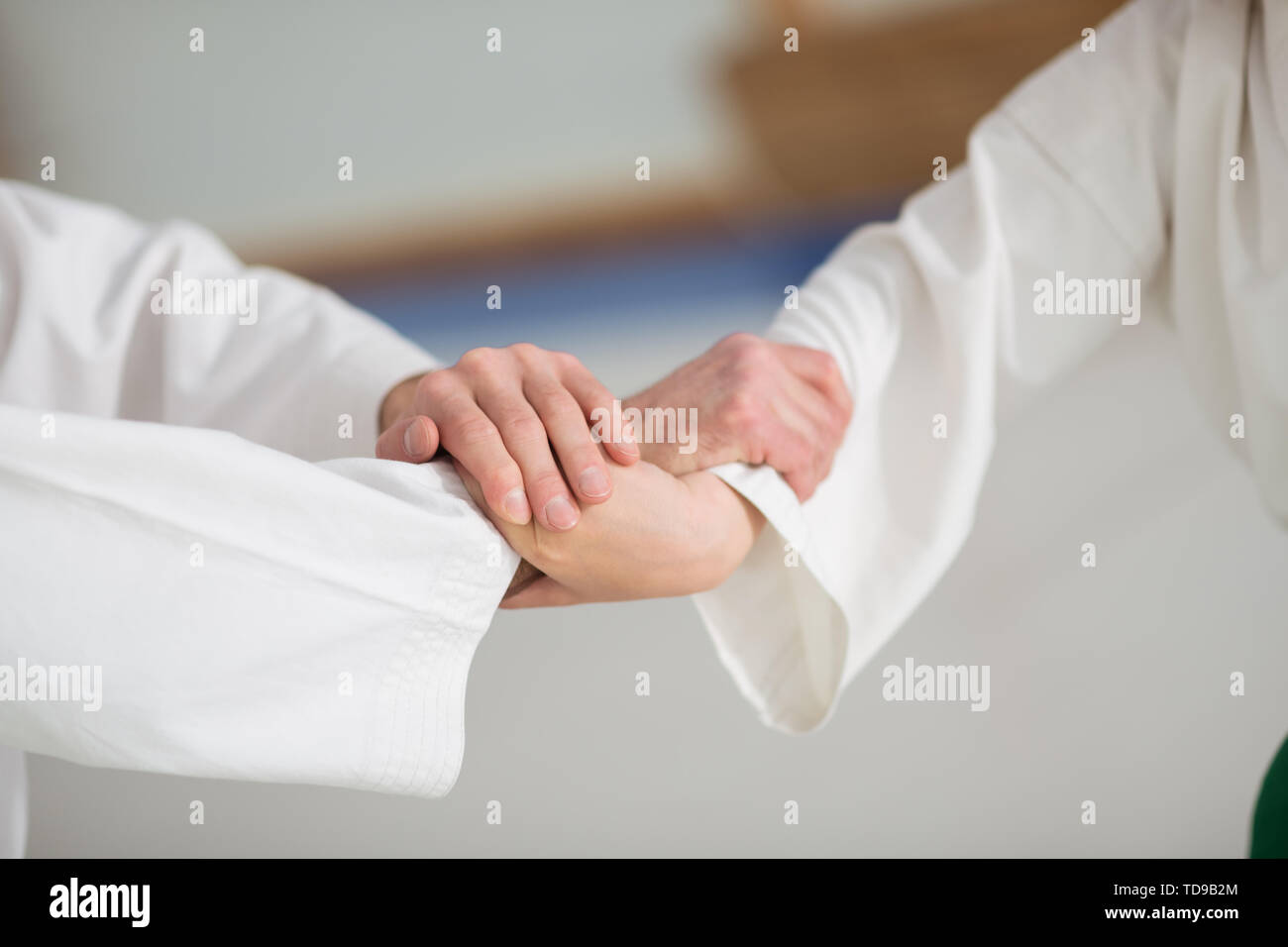 Before starting fight. Boy and his professional aikido teacher shaking ...