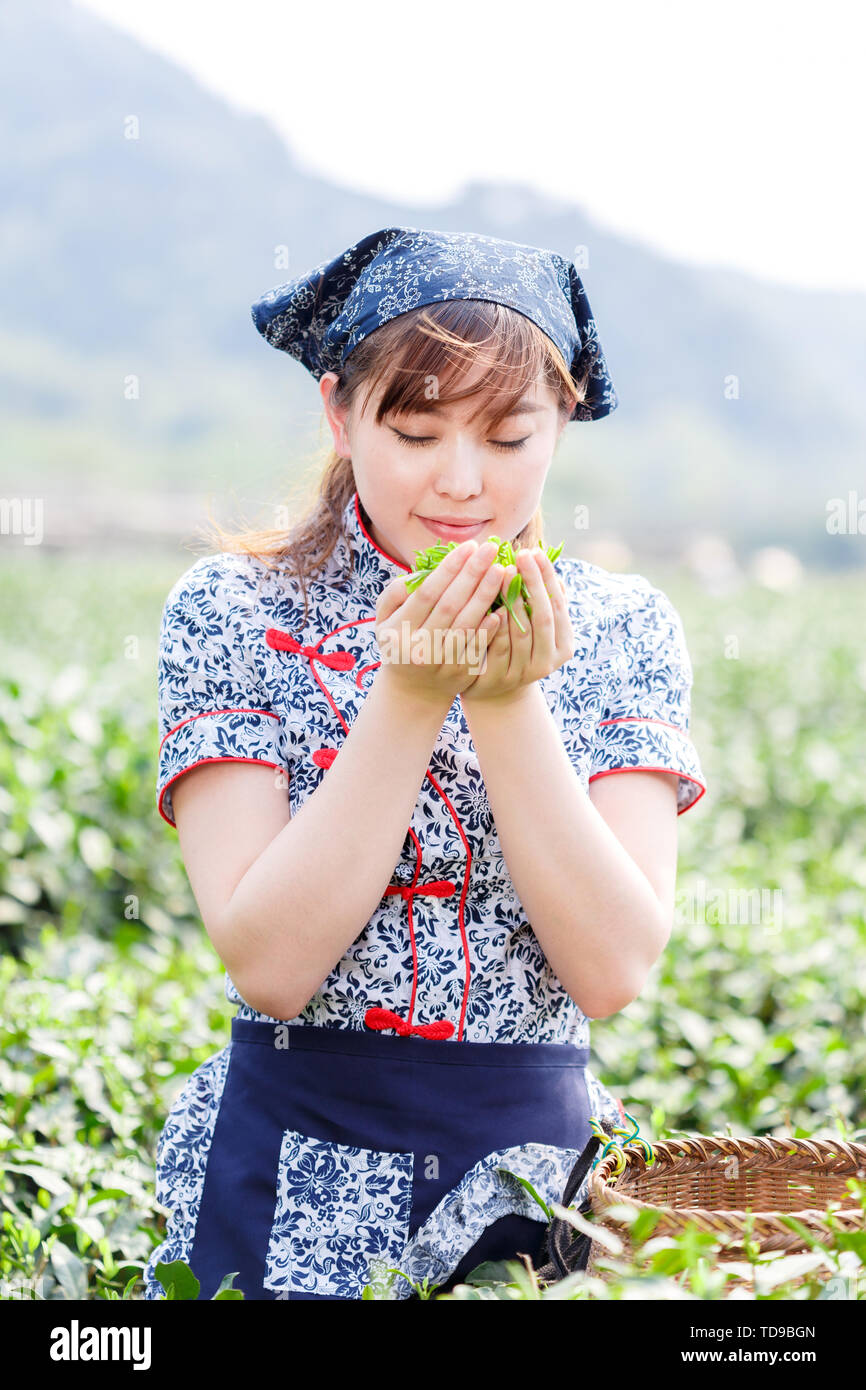 Asian pretty tea - amazing girl in photography Stock Photo - Alamy