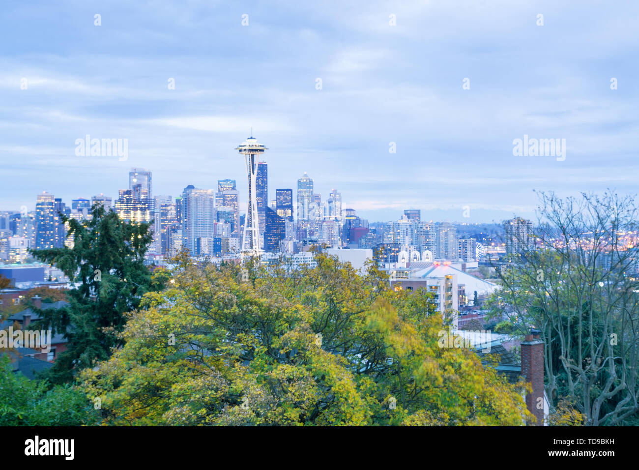 Skyline and cityscape from forest Stock Photo - Alamy