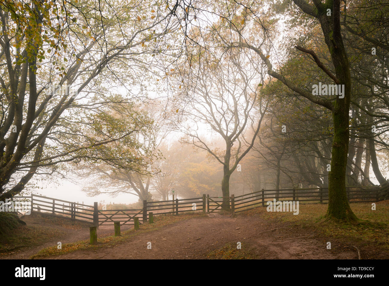 World way road hi-res stock photography and images - Alamy