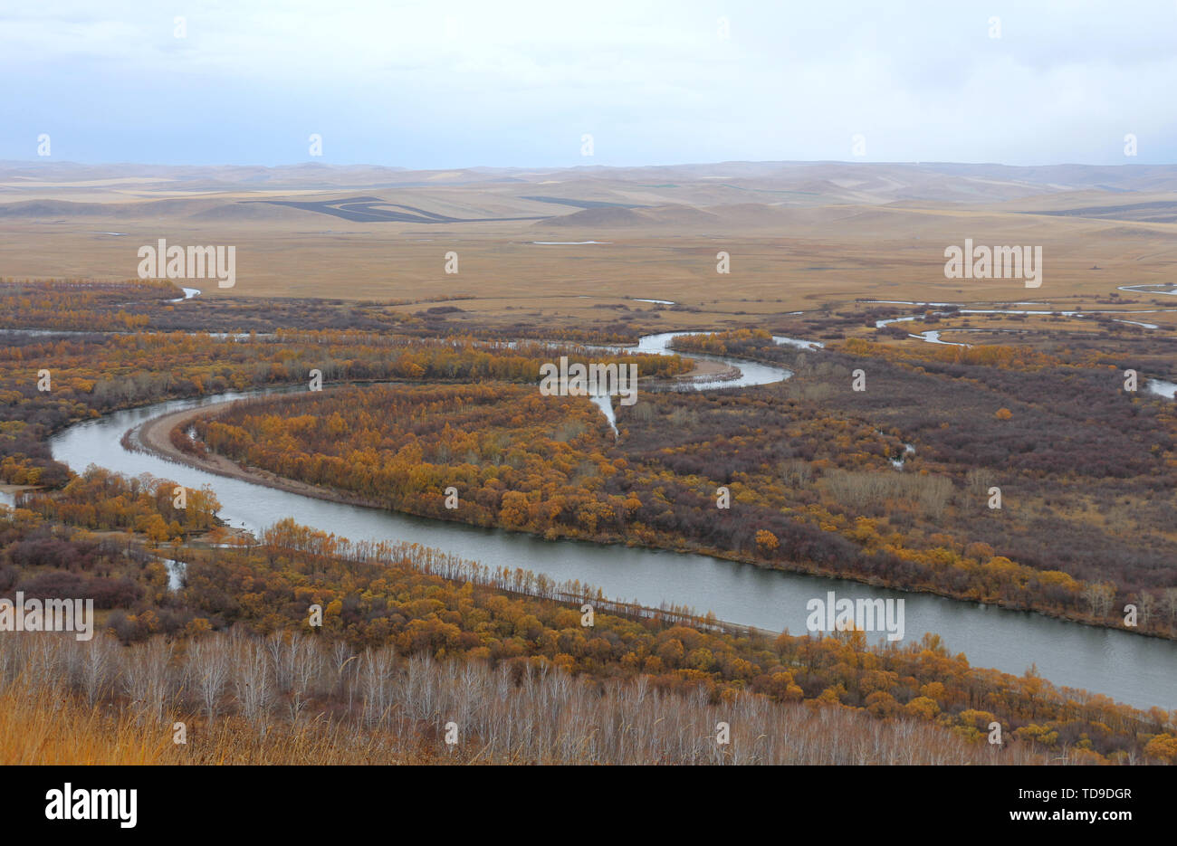 Erguna river and river forest hi-res stock photography and images - Alamy