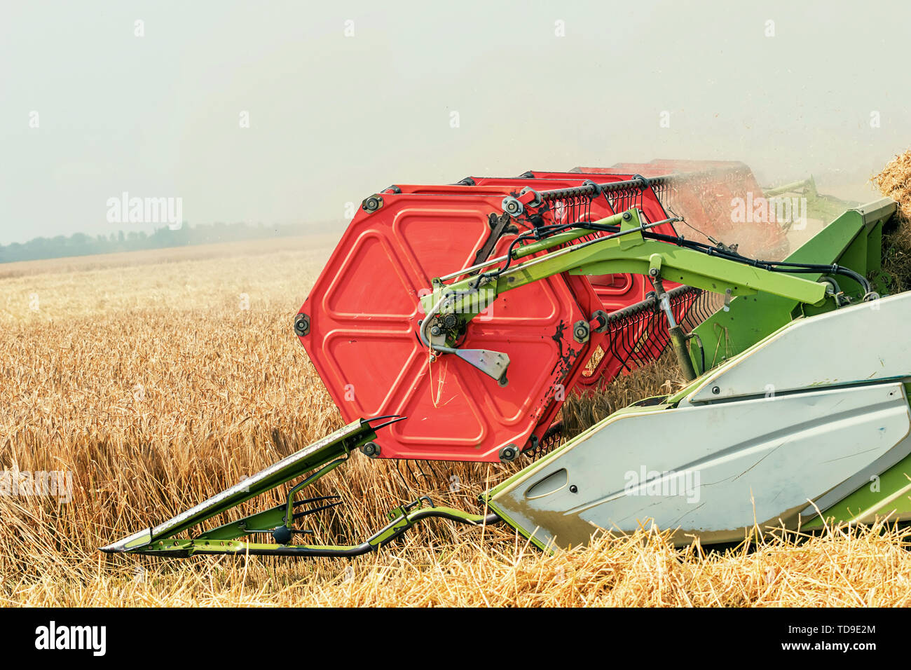 Closeup Combine harvesting a wheat field. Combine working the field ...
