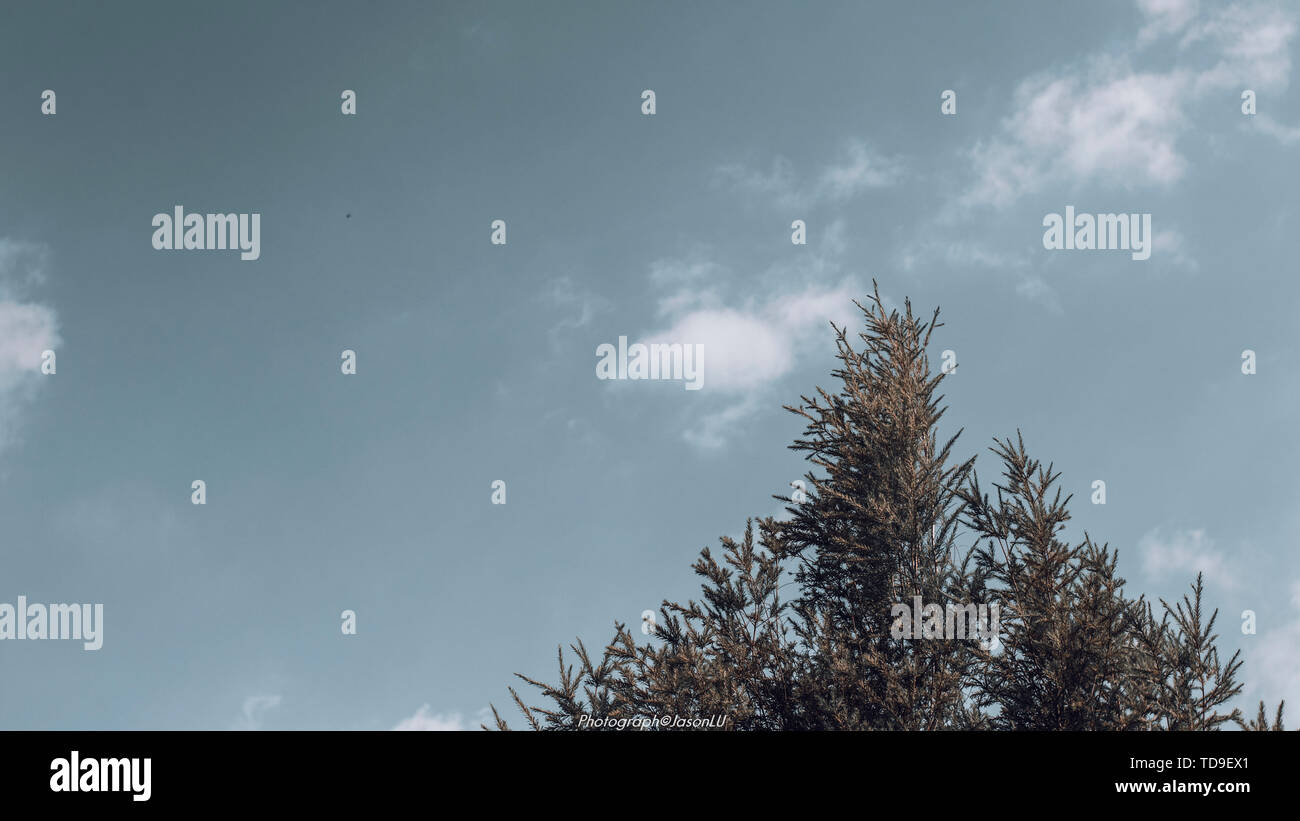 Documentary humanistic wallpaper Stock Photo - Alamy