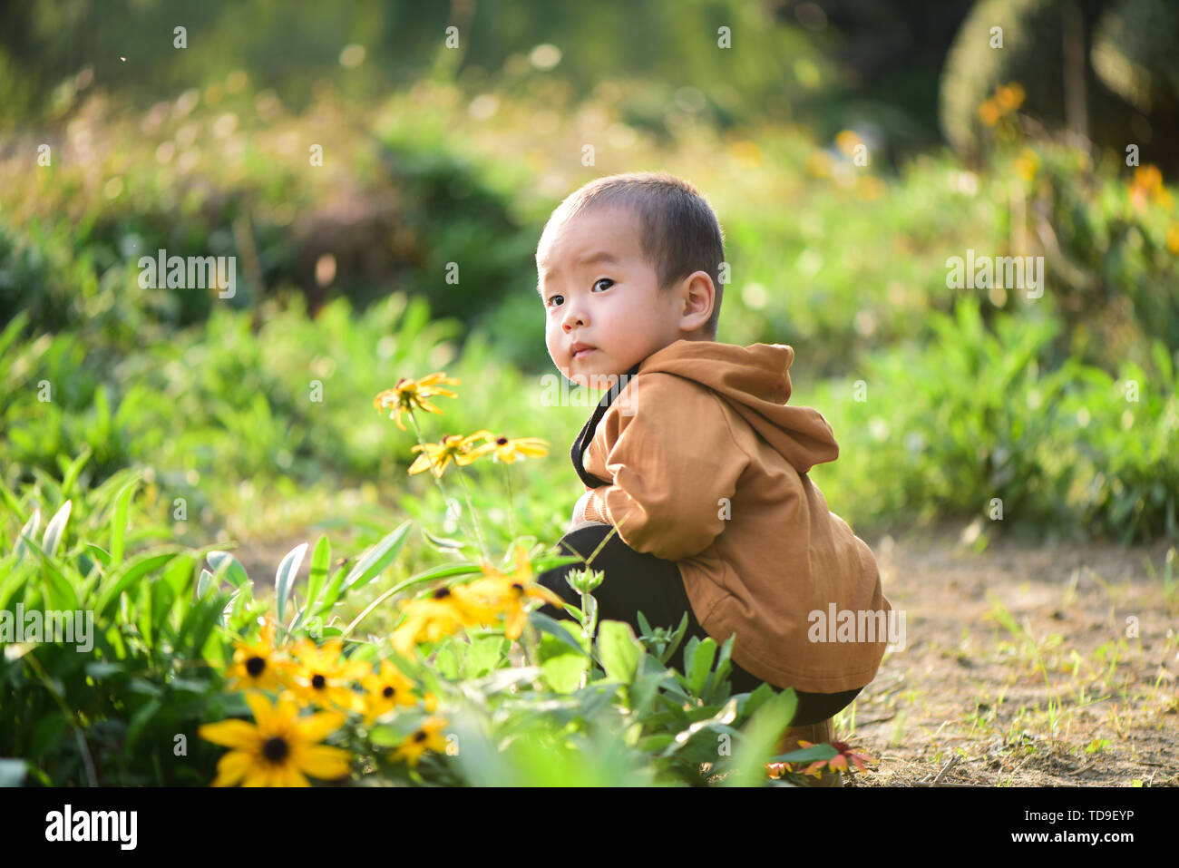 Little boy in the bushes Stock Photo - Alamy
