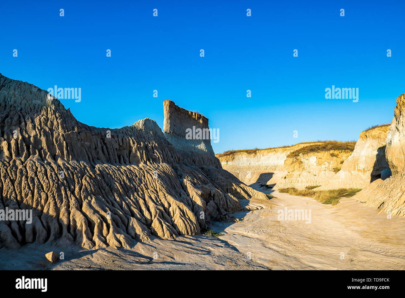 The scenery of the earth forest Stock Photo - Alamy