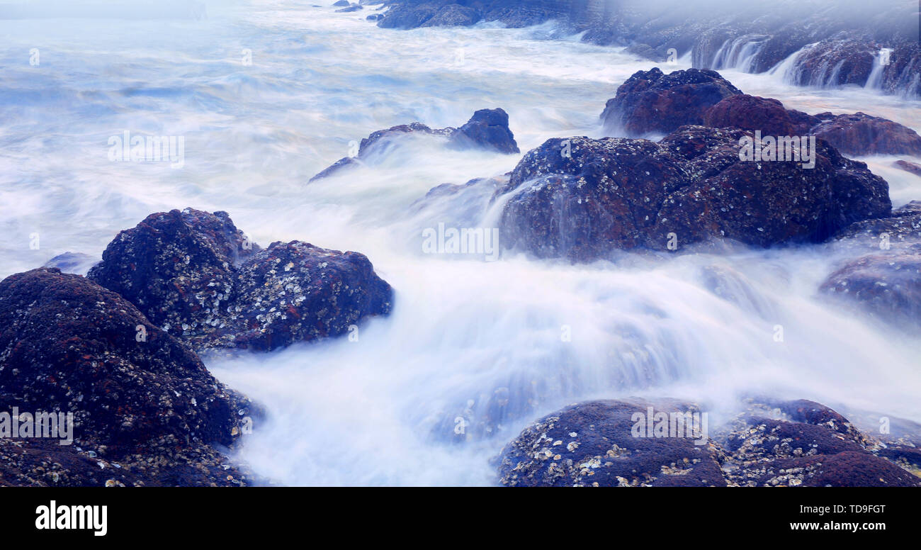 A group of pictures of the soul of the sea Stock Photo - Alamy