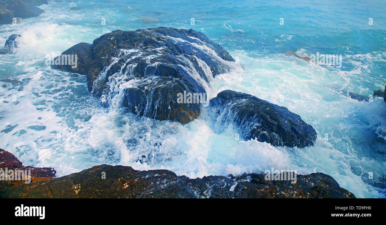 A group of pictures of the soul of the sea Stock Photo - Alamy