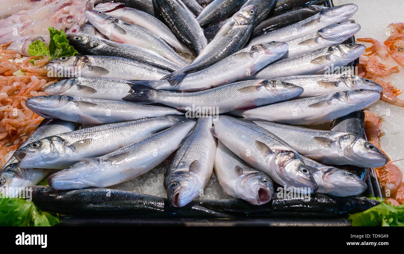 Silver bass fish hi-res stock photography and images - Alamy