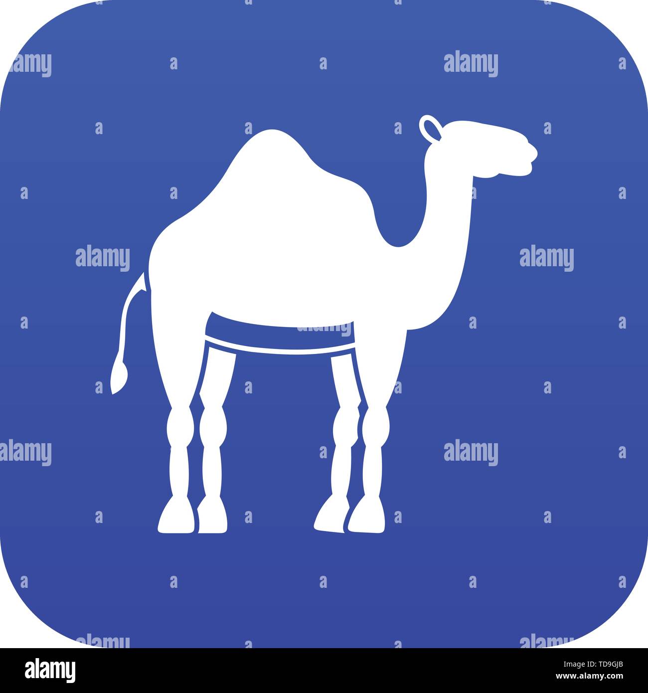 Camel icon digital blue Stock Vector Image & Art - Alamy
