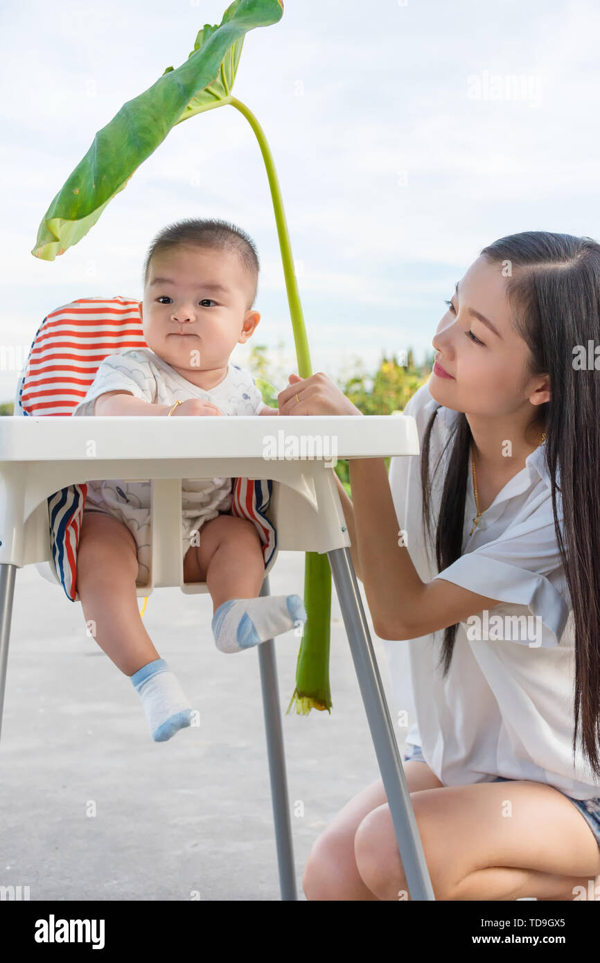 Baby taro hi-res stock photography and images - Alamy