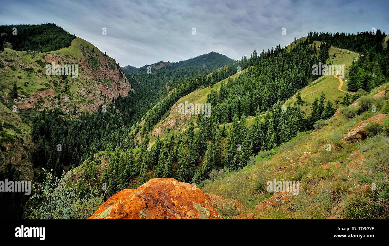 Damei hi-res stock photography and images - Alamy