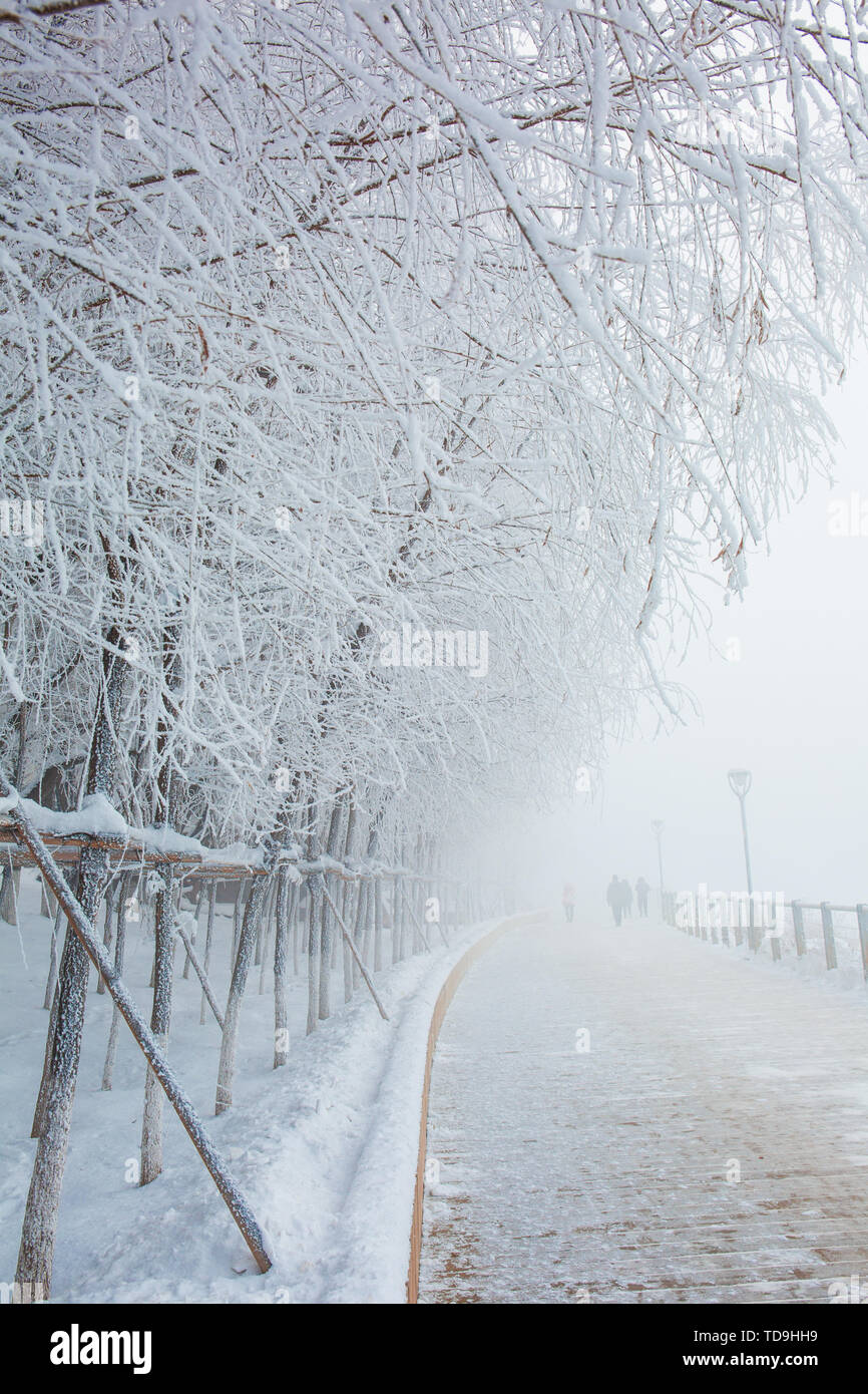 The heavy fog of the Songhua River in Jilin forms a beautiful rime ...