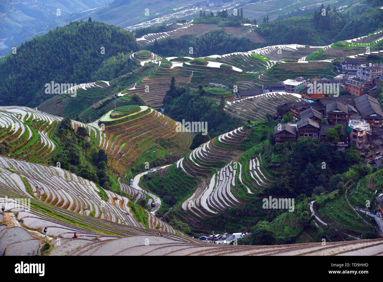 Longji terraces in Guangxi Stock Photo - Alamy
