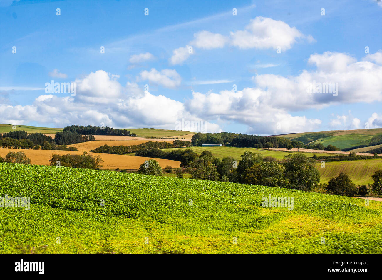 Farmland and pastoral songs hi-res stock photography and images - Alamy