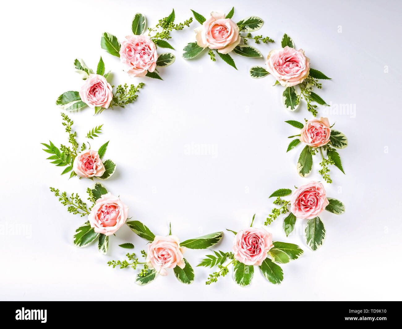 Round frame flower pattern of rosebuds on a white background Stock ...