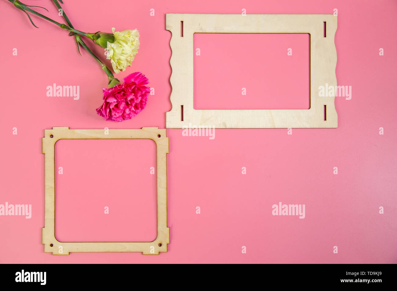 Carnation Moon and Mother's Day Stock Photo - Alamy