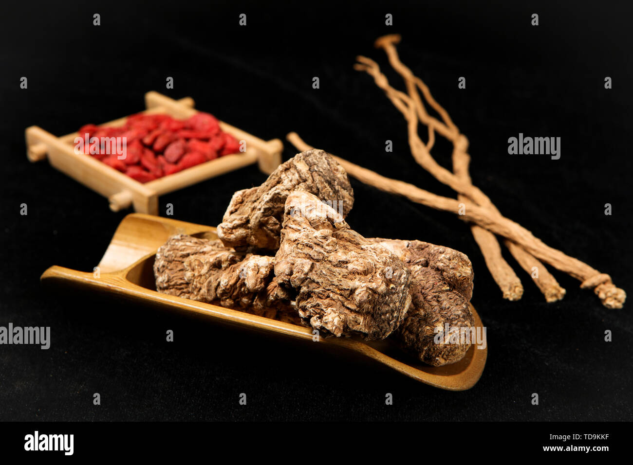 Angelica sinensis hi-res stock photography and images - Alamy