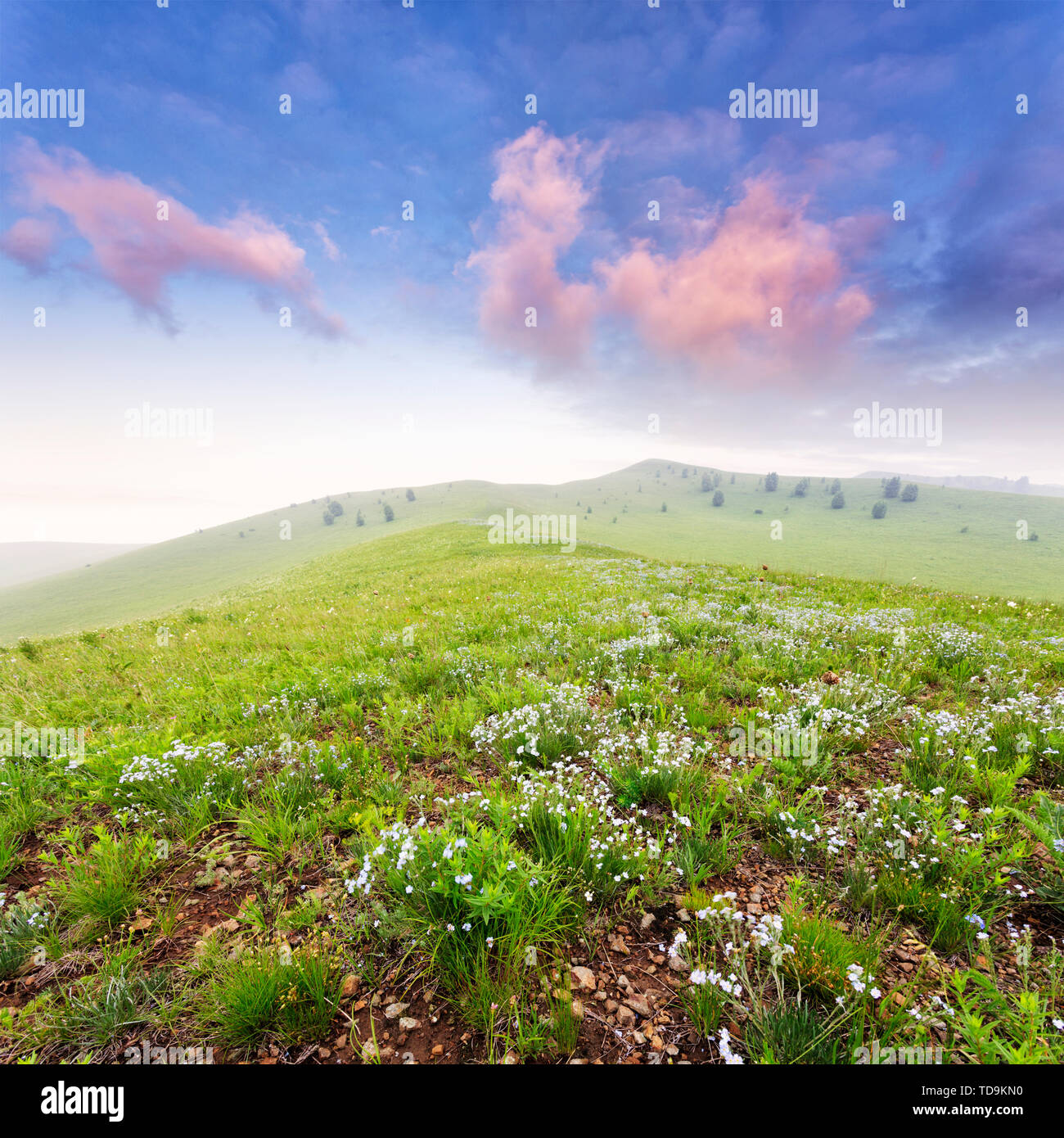 Greenfield with white photography Stock Photo - Alamy