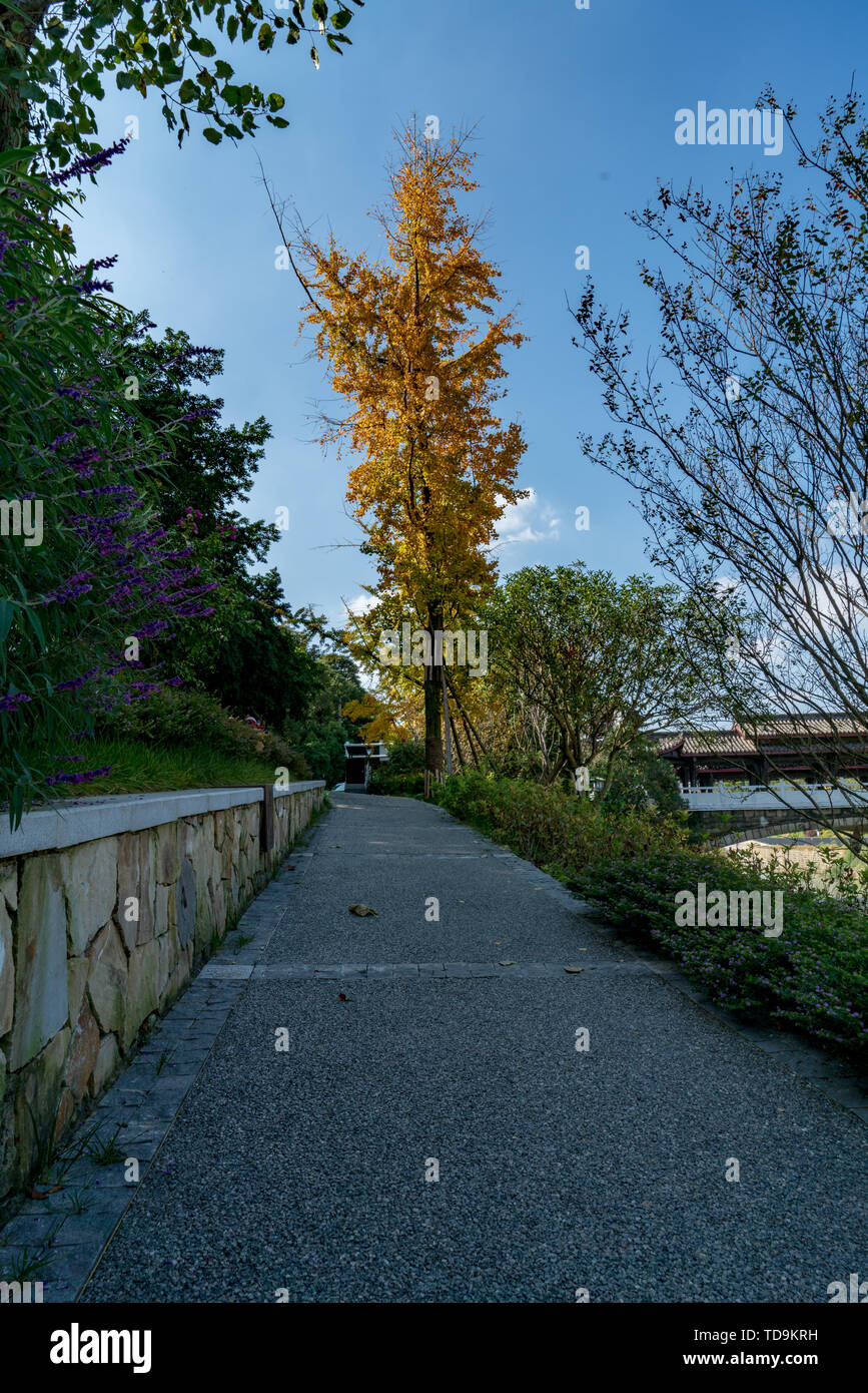 Autumn Color of Huanhuaxi Park, Chengdu Stock Photo - Alamy