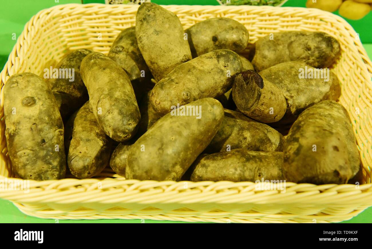 Selenium rich potato hi-res stock photography and images - Alamy