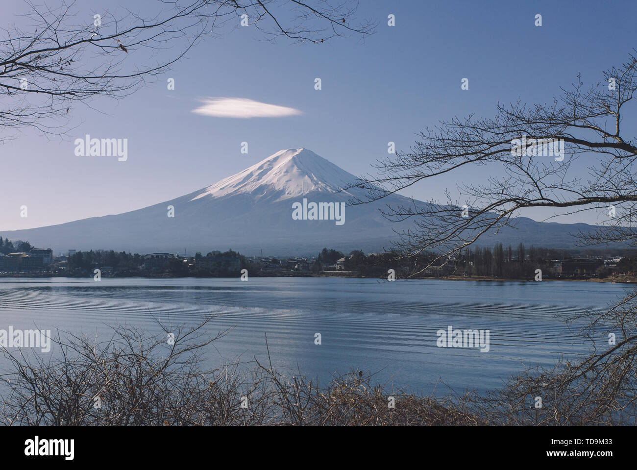 Japan's Mount Fuji estuary lake scenery Stock Photo - Alamy