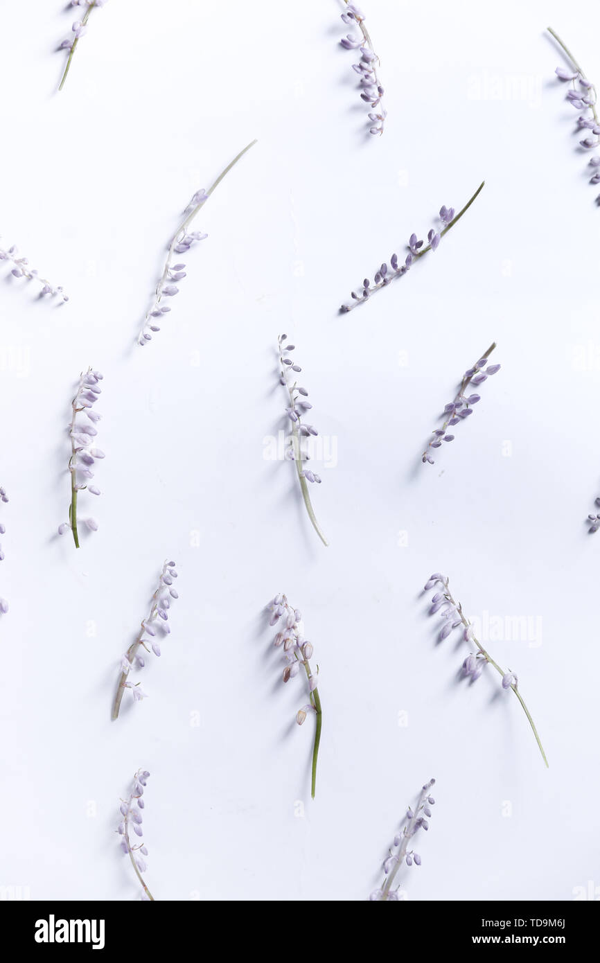 Purple broken flower background Stock Photo - Alamy