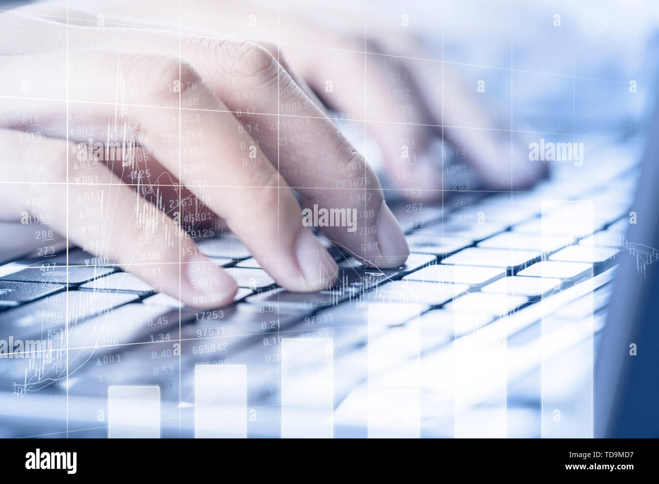 Female business person using laptop in office Stock Photo - Alamy