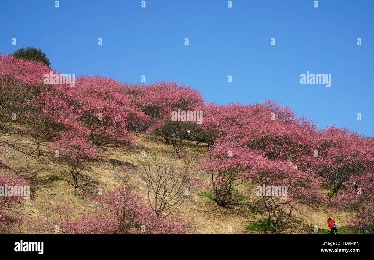 Meishan village hi-res stock photography and images - Alamy