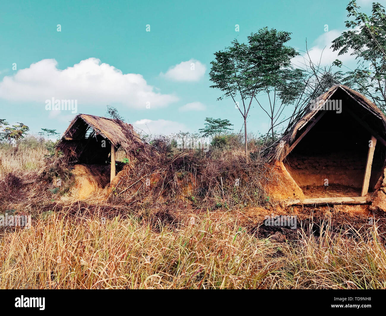 Grass shed weaving buildings hi-res stock photography and images - Alamy