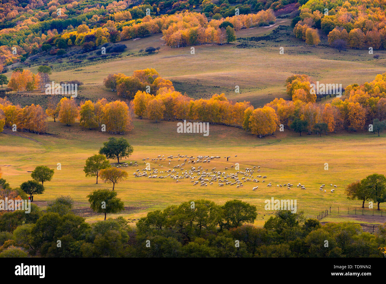 Toad dam scenery Stock Photo - Alamy