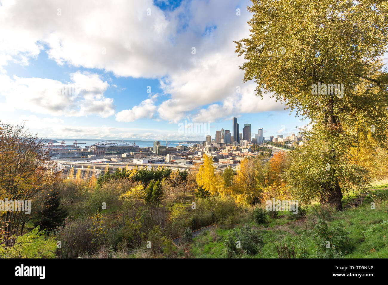 Cityscape and skyline of seattle Stock Photo - Alamy