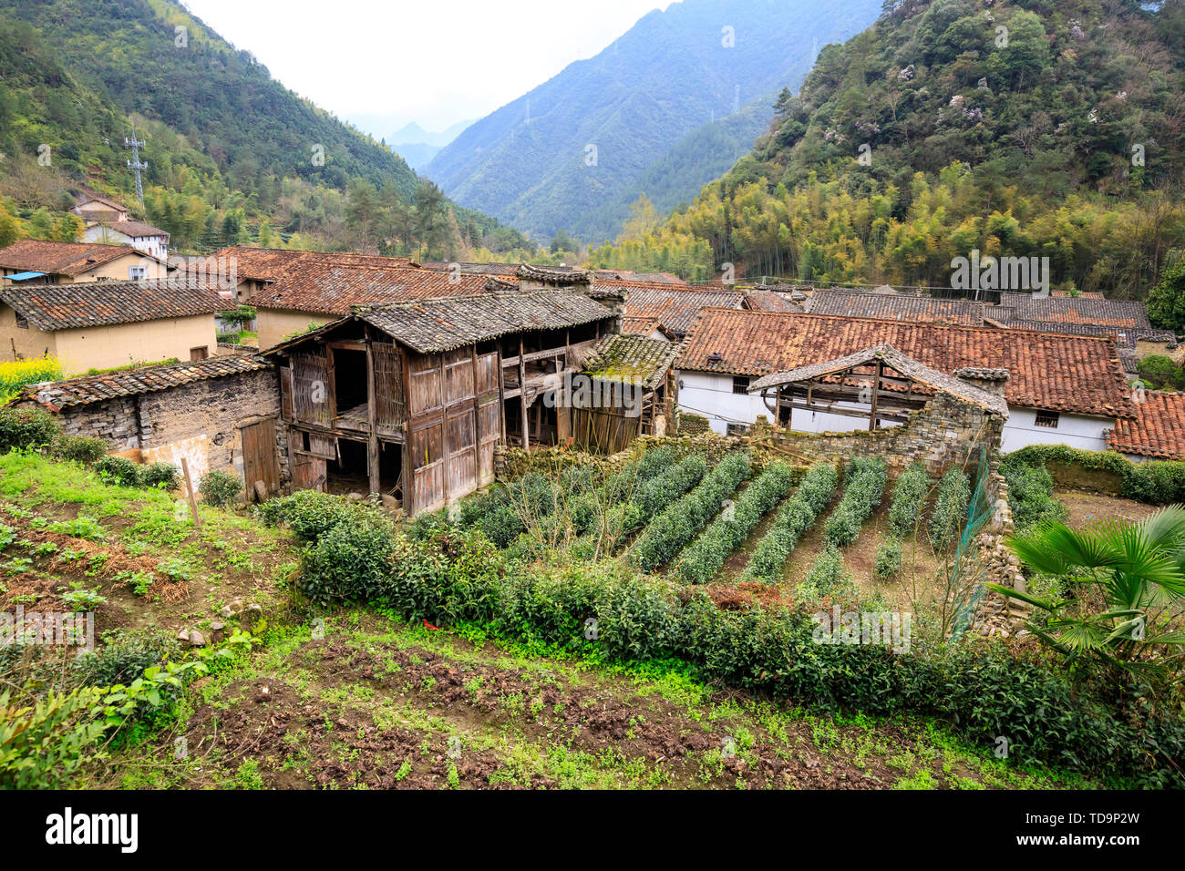 Dushan village hi-res stock photography and images - Alamy