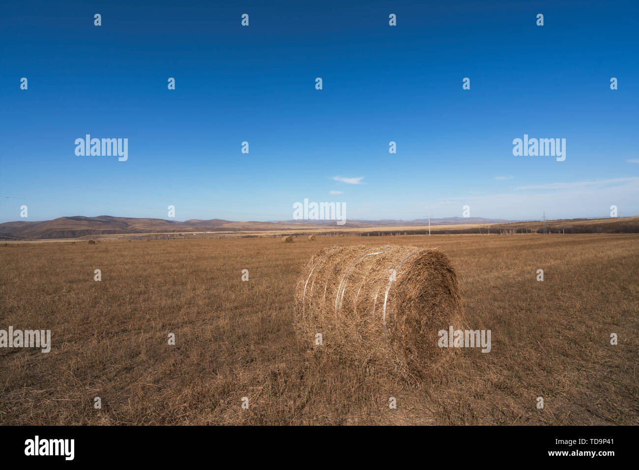 Horizon and scenic hulunbuir chinese haystack hi-res stock photography ...