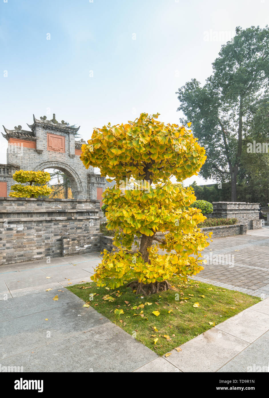 Autumn View of Sichuan University Campus Stock Photo - Alamy