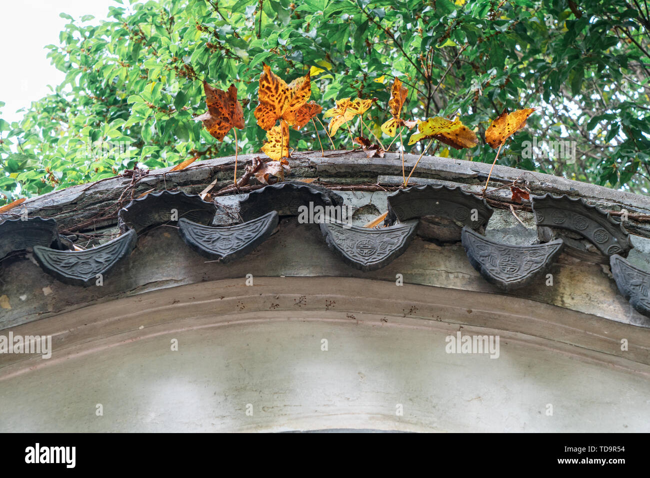 Tranquility tranquility suzhou gardens in gusu suzhou gardens in gusu ...