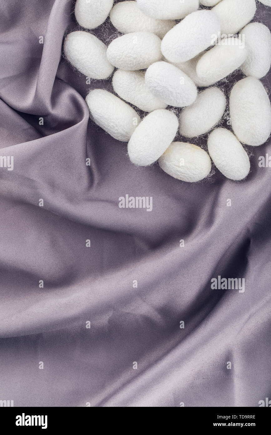 Natural silk cocoon Stock Photo - Alamy