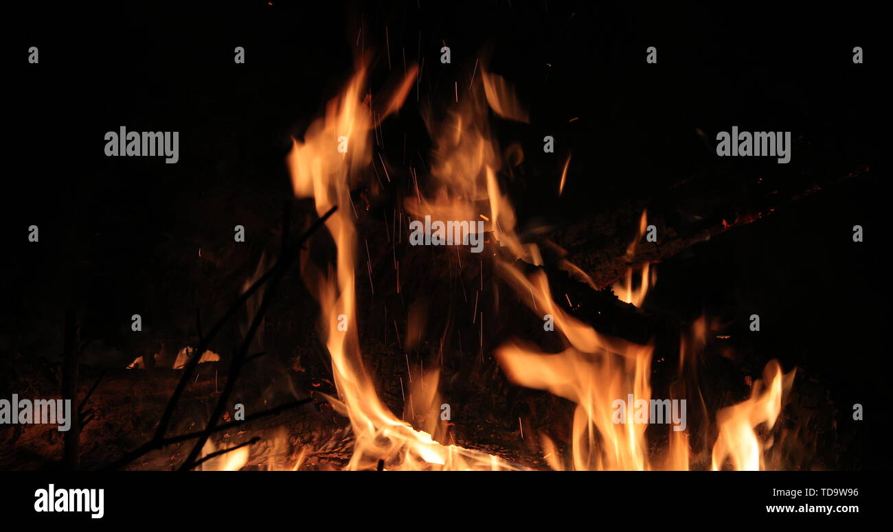 bright flaming of fire and hot wood at night Stock Photo - Alamy