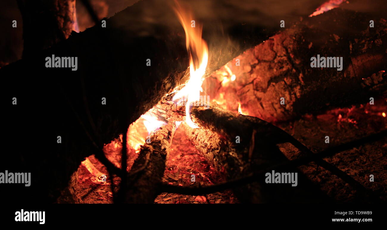 bright flaming of fire and hot wood at night Stock Photo - Alamy