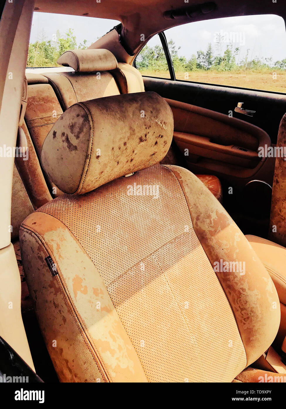 Inside the abandoned car Stock Photo - Alamy
