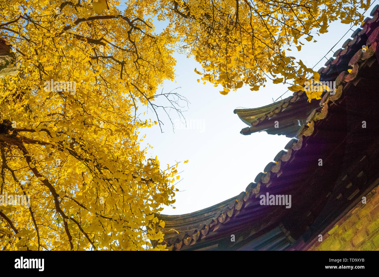 Eight monsters memorial hall hi-res stock photography and images - Alamy