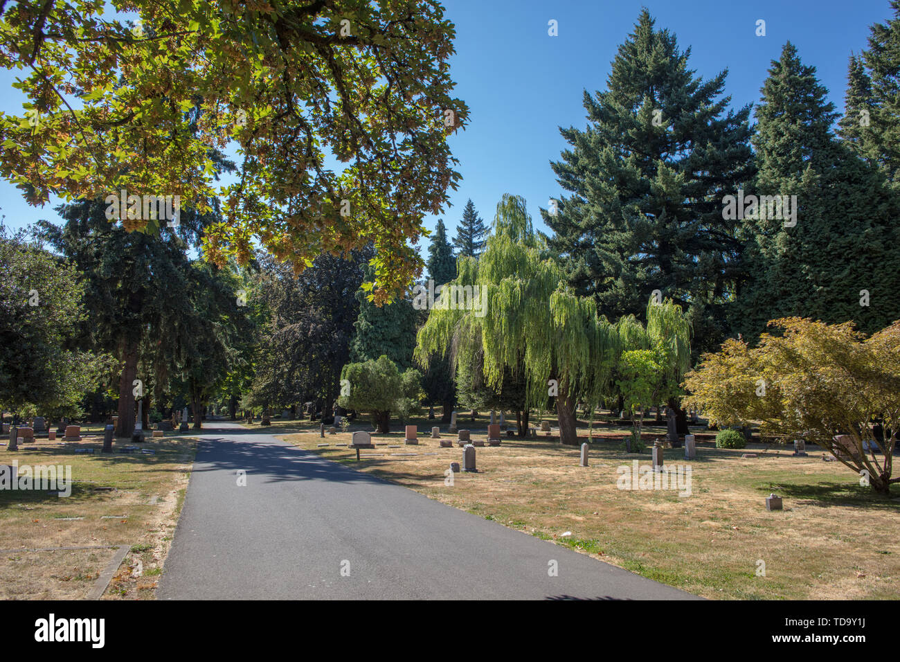 Portland cemetery, United States Stock Photo - Alamy