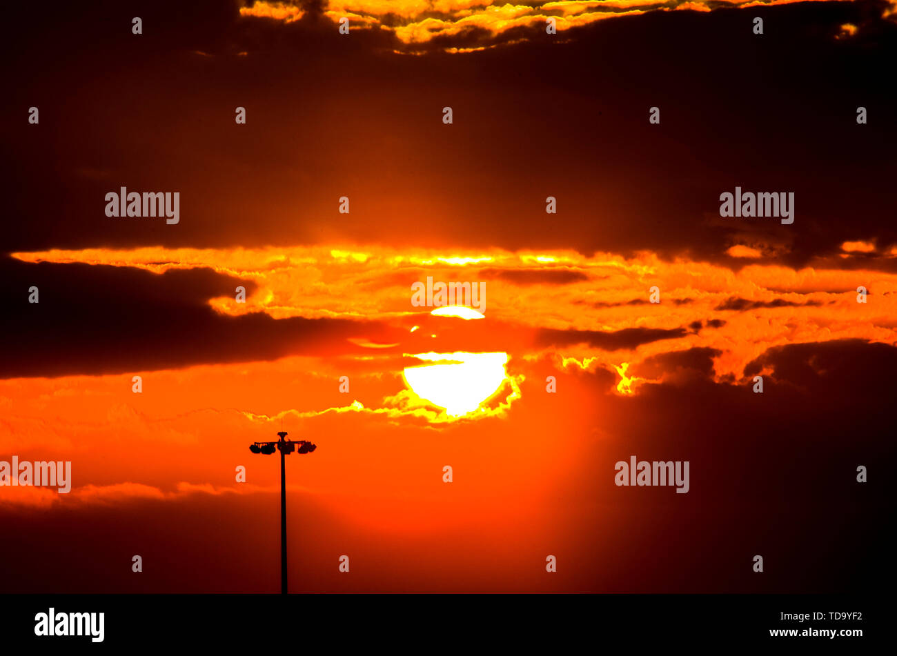 Hot weather insects hi-res stock photography and images - Alamy