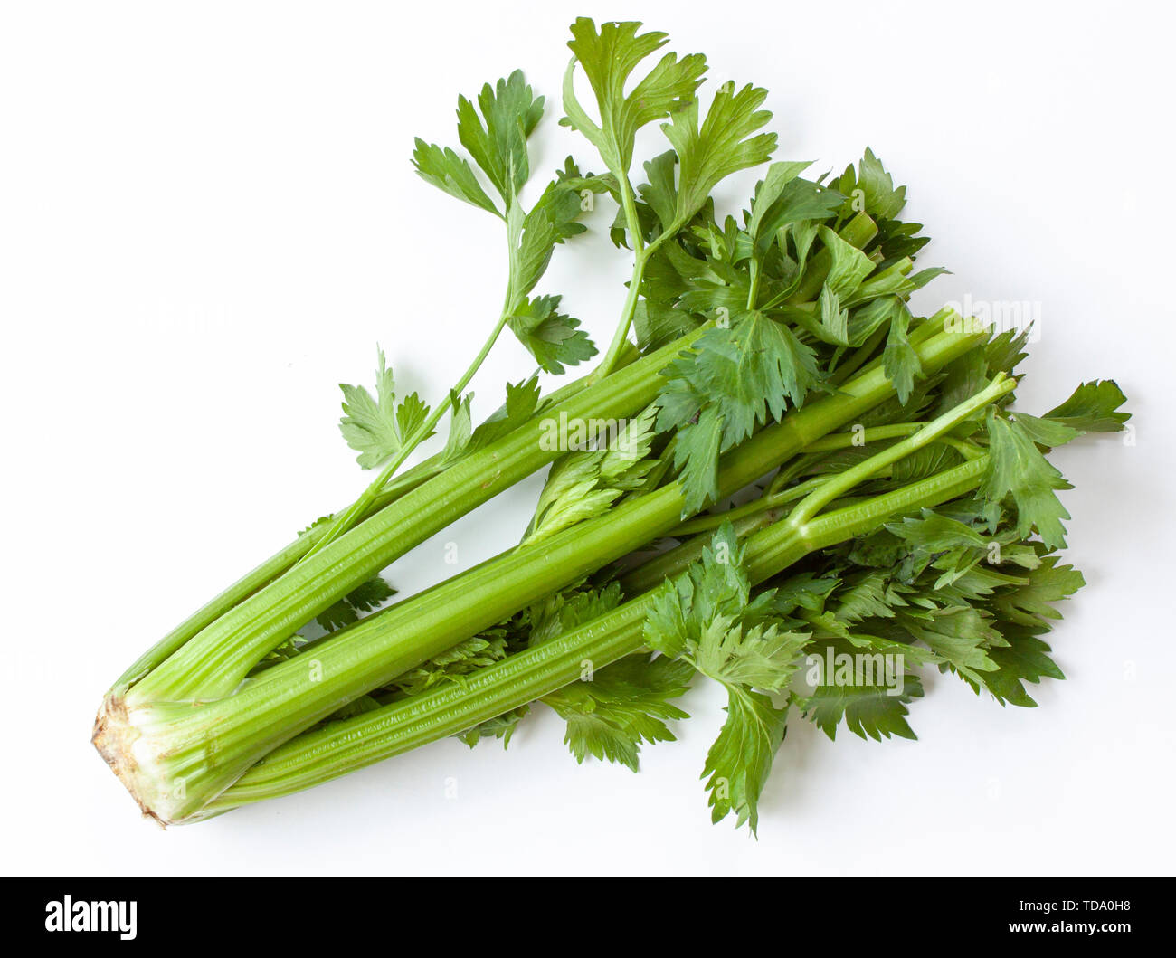 A bunch of fresh green celery on white background Stock Photo - Alamy